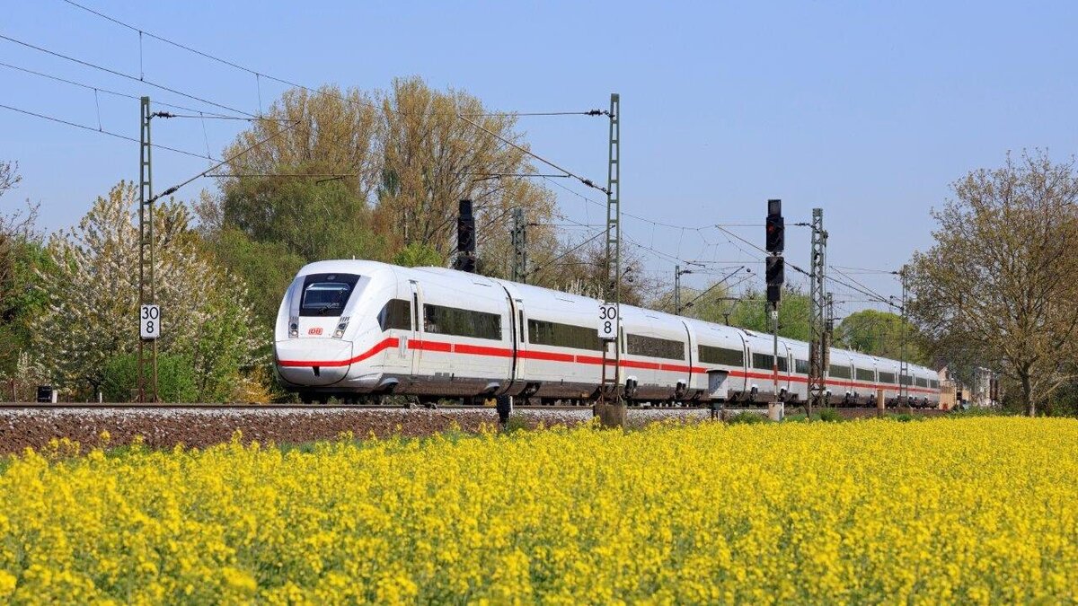 Generalsanierung der Riedbahn: Drees & Sommer unterstützt die Deutsche ...