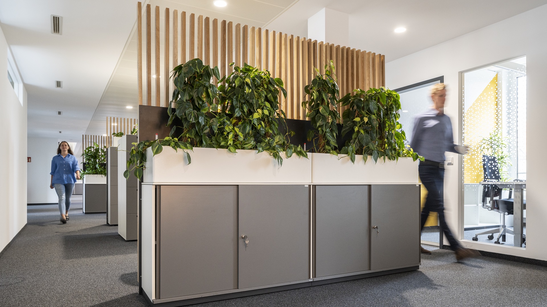 A Model of Good Office Design: Drees & Sommer Presents its Remodeled ...